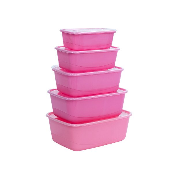 Essential Container Set (5 in 1) Colour
